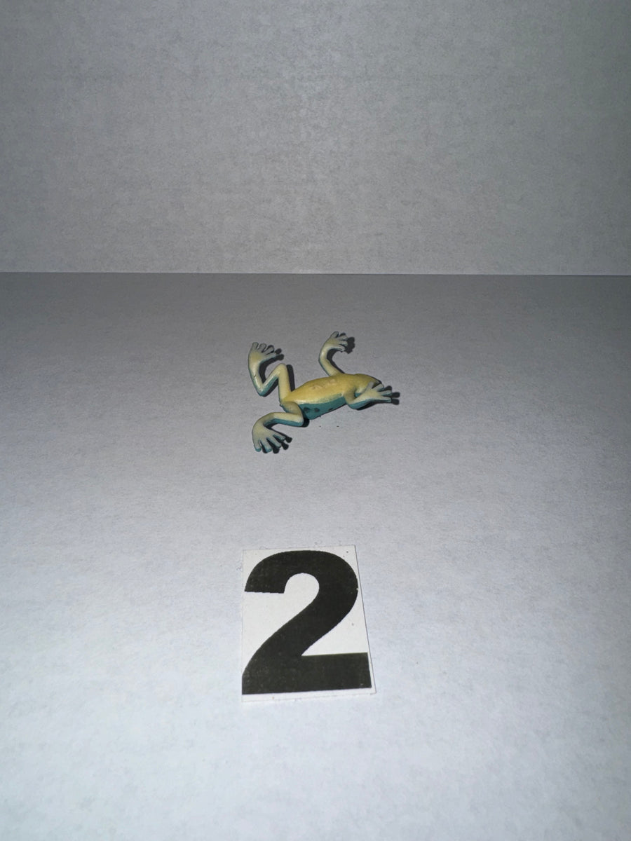 Frog Toy – Thrift2U